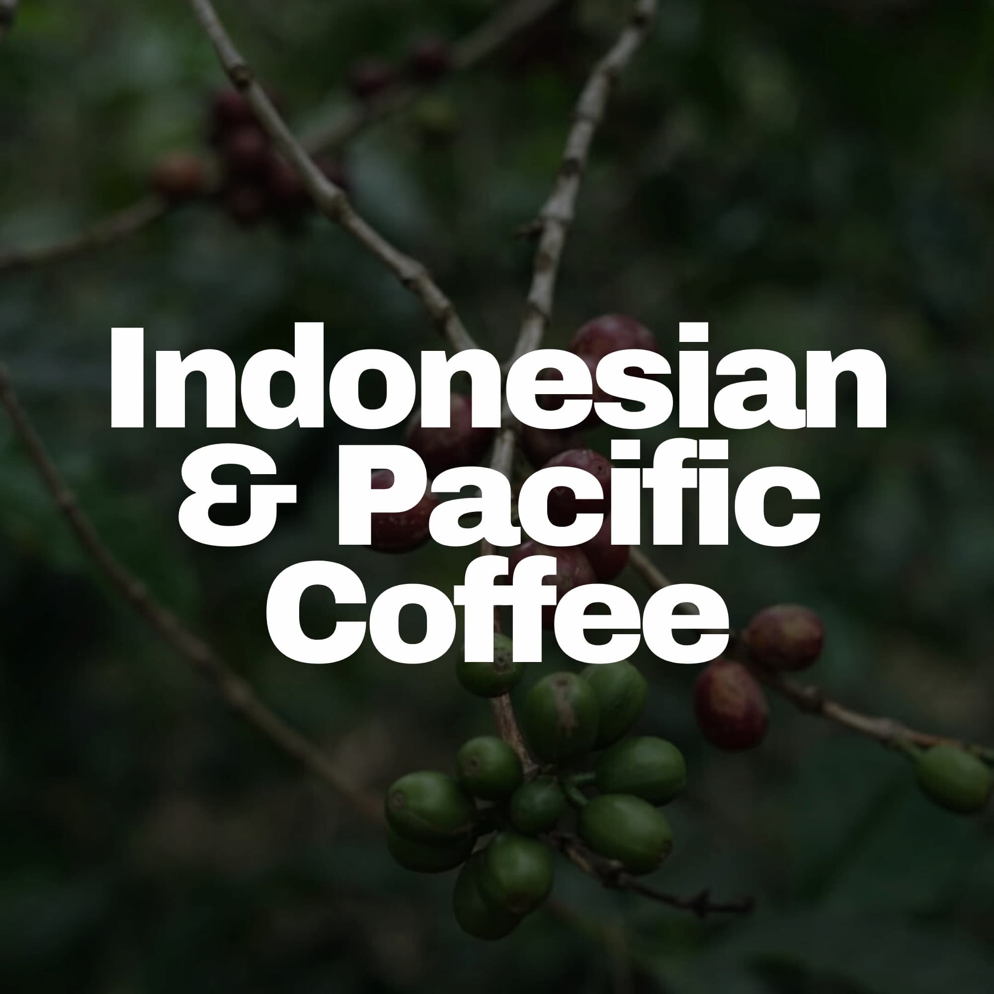 Shop Indonesian & Pacific Coffee Online – Colipse